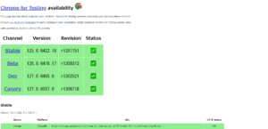 VBA×ChromeでWebスクレイピング難しい初期設定を分かりやすく解説 | EnjoyExcel