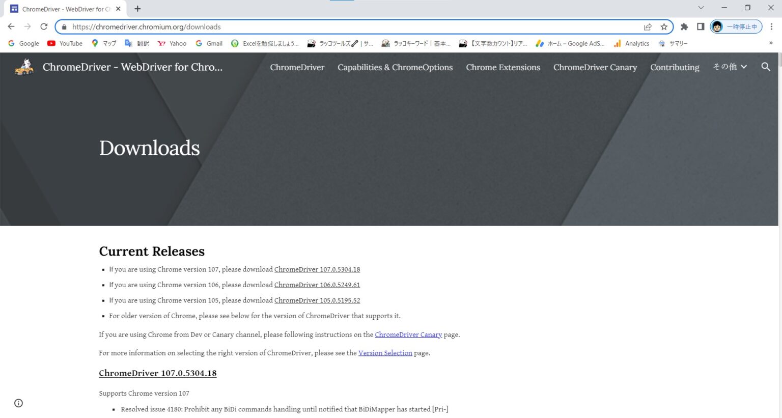 VBA×ChromeでWebスクレイピング難しい初期設定を分かりやすく解説 | EnjoyExcel