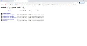VBA×ChromeでWebスクレイピング難しい初期設定を分かりやすく解説 | EnjoyExcel